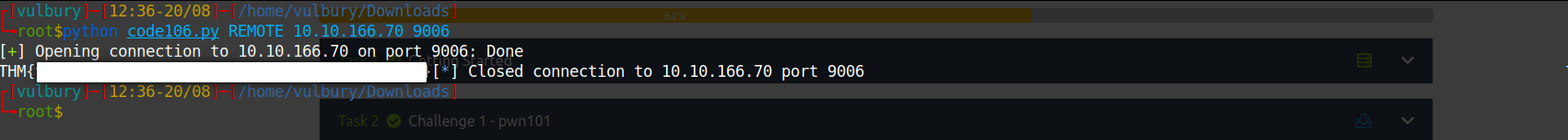 Pwn101 - TryHackMe CTF Write-up - vvelitkn